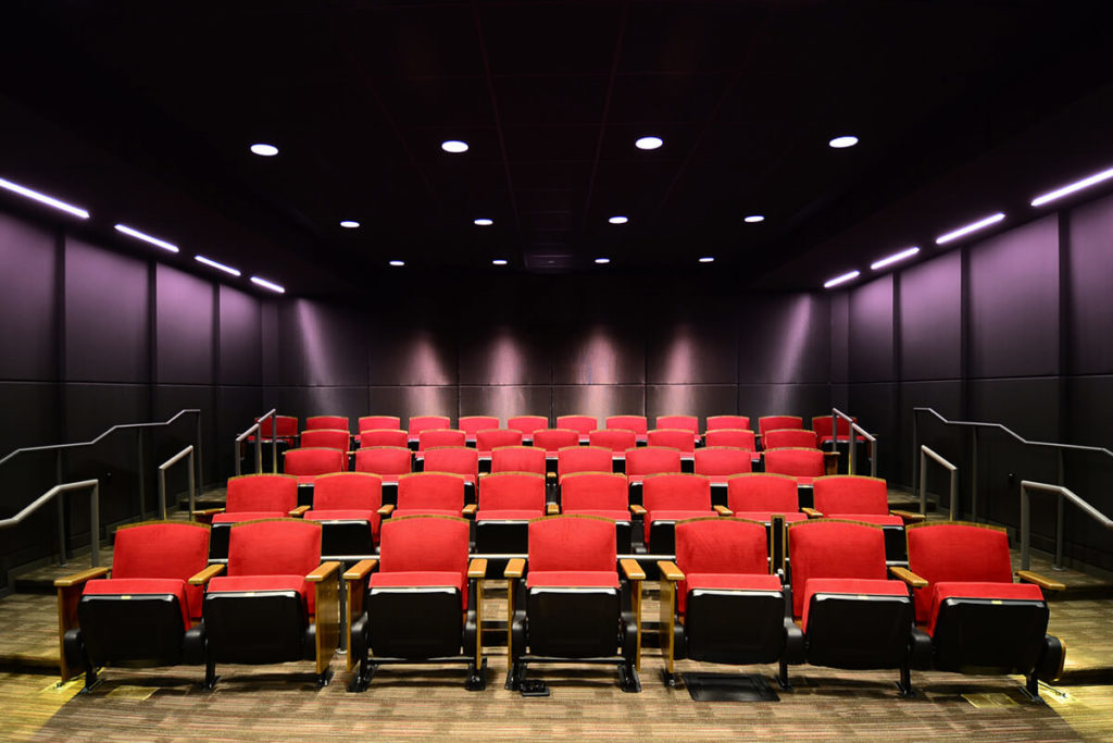Executive Screening Room - PNG Builders