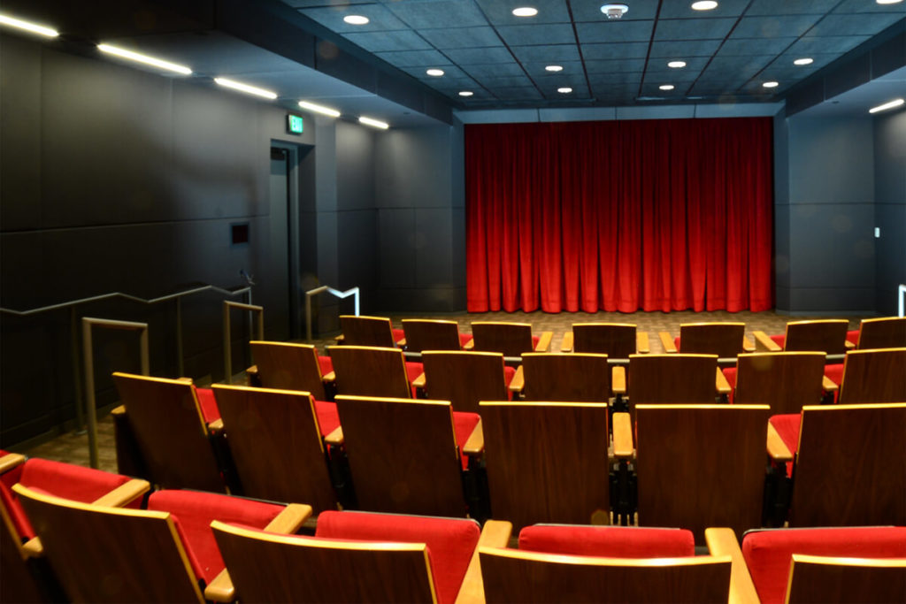 Executive Screening Room - PNG Builders