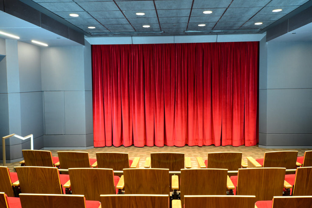 Executive Screening Room - PNG Builders
