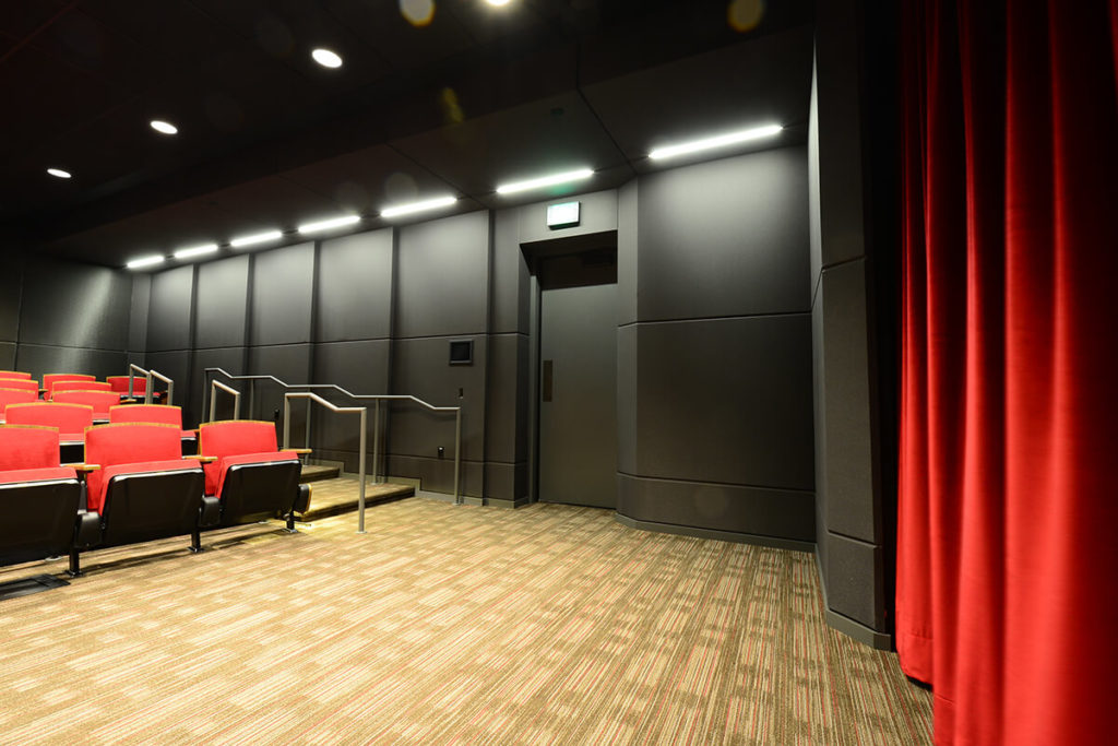 Executive Screening Room - PNG Builders