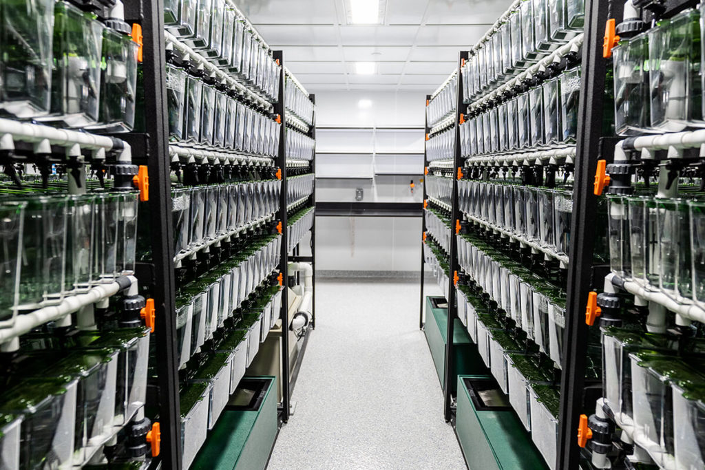 Aquatics Research Facility - PNG Builders